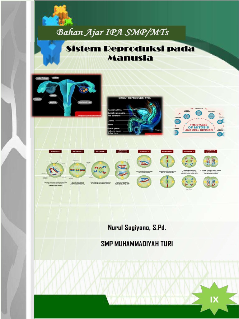 Bahan Ajar Sistem Reproduksi Manusia 2 | PDF