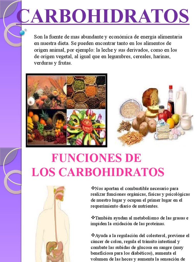 CARBOHIDRATOS | PDF