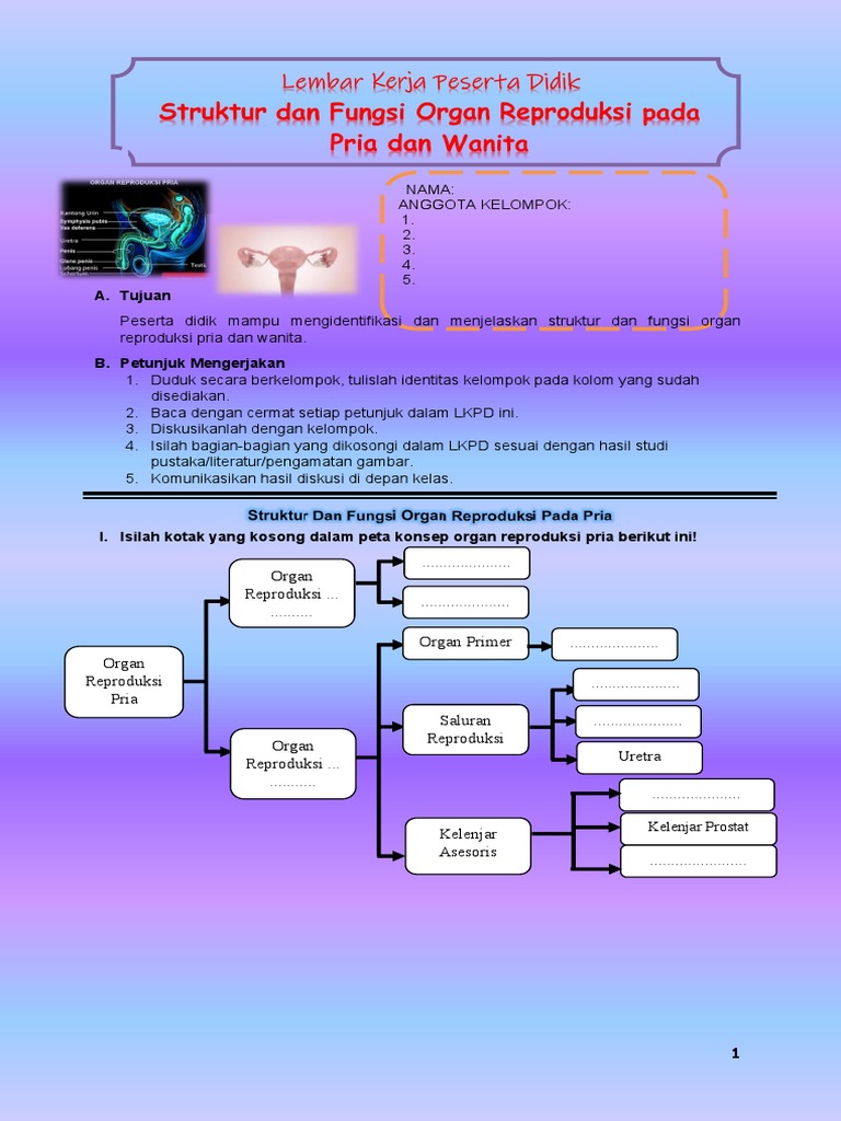 LKPD Sistem Reproduksi Manusia | PDF