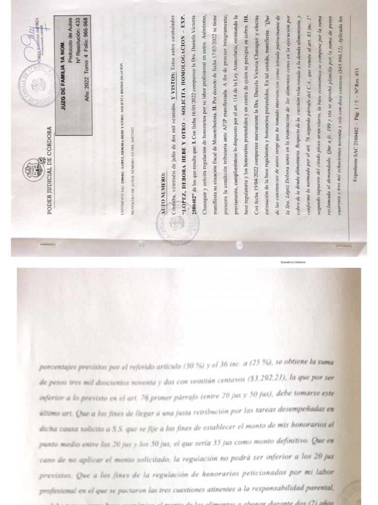 Auto Reg Honorarios y Cedula Daumas | PDF