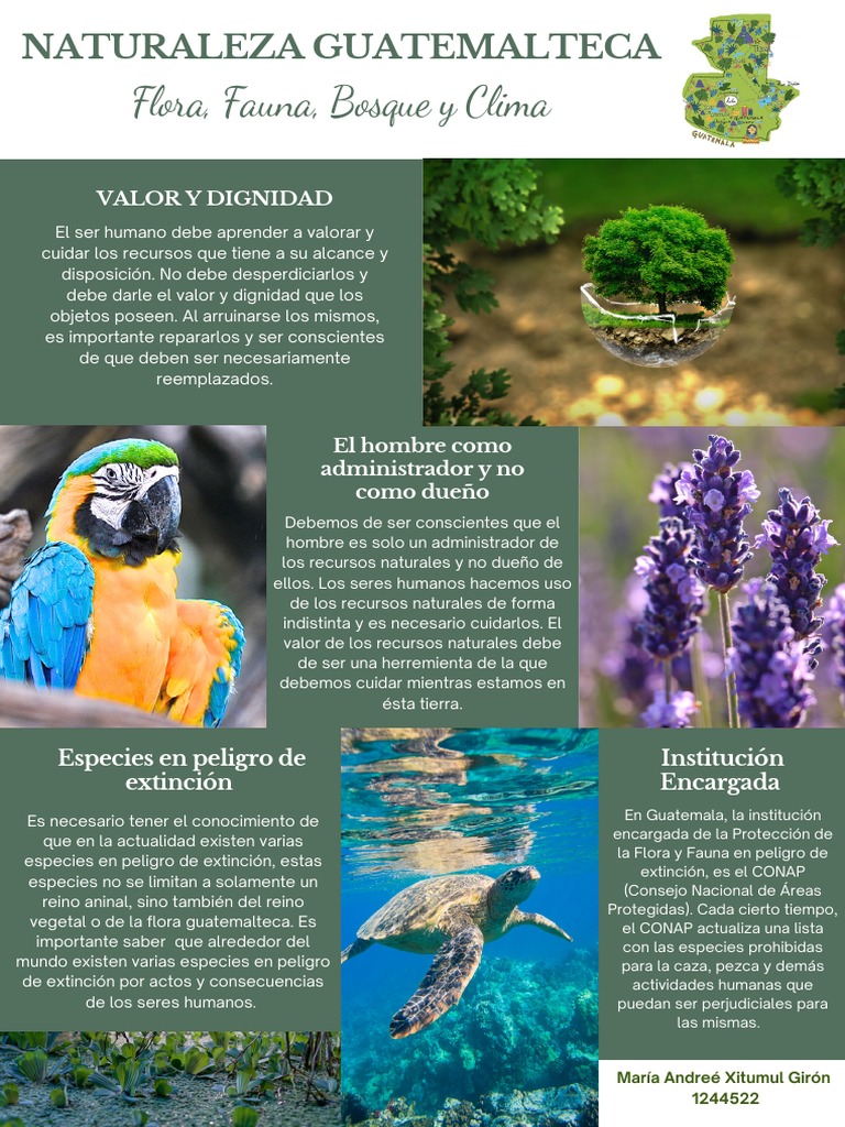 T5 - 39 Boletín Naturaleza Guatemalteca | PDF | Especie en peligro ...