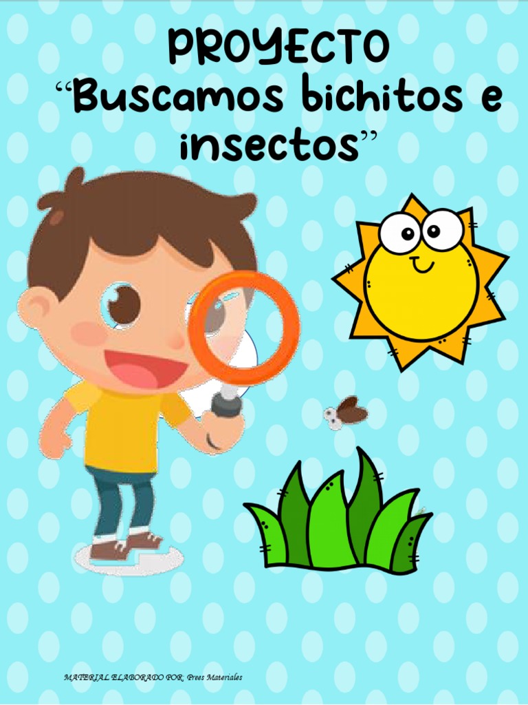 PLANEACIÓN INSECTOS | PDF | Insectos | Conocimiento