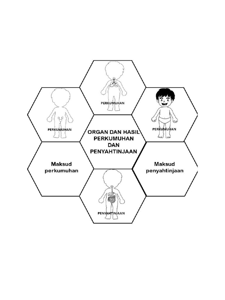 Flipnote Sains T4 Perkumuhan | PDF
