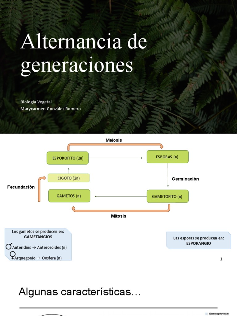 ALTERNANCIA DE GENERACIONES | PDF