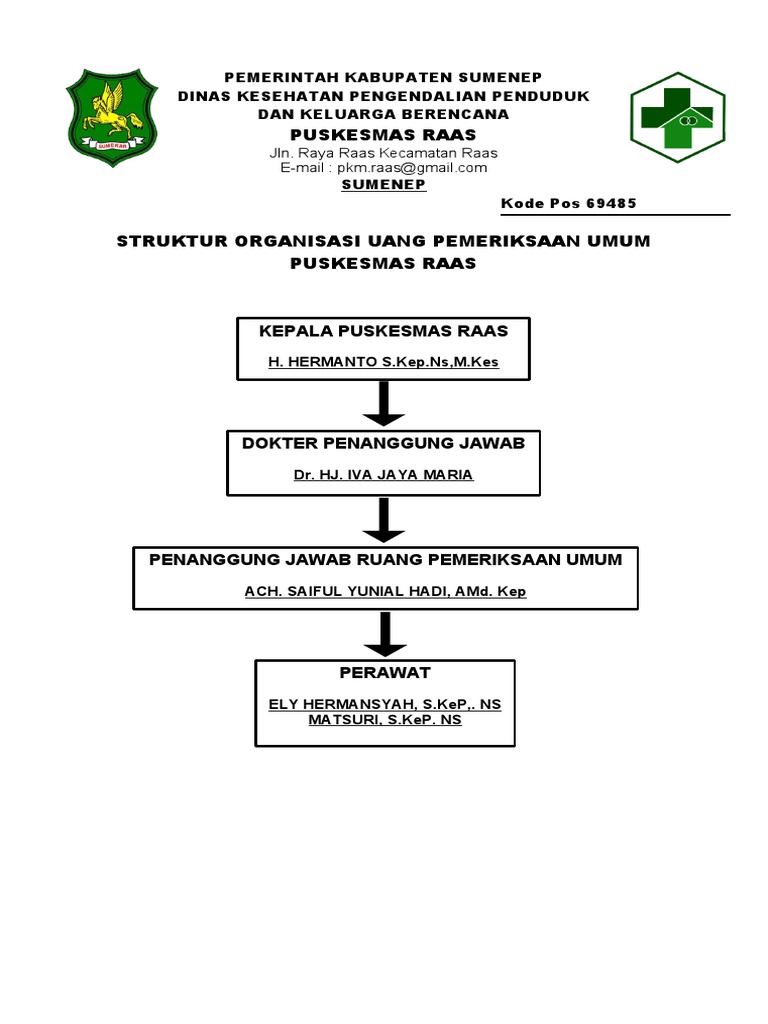 Struktur Organisasi Puskesmas Raas | PDF