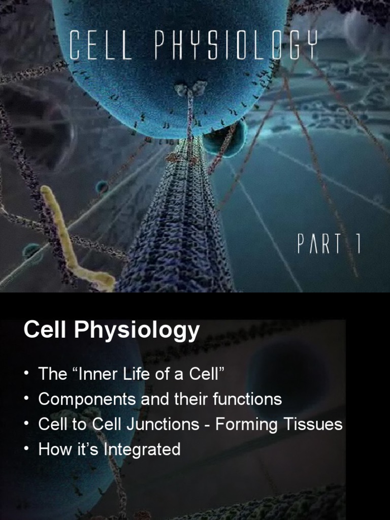Cell Physiology | Download Free PDF | Cell Membrane | Cell (Biology)