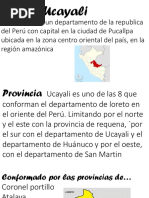Mapa Político de Ucayali y Distritos | PDF