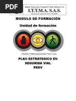 Matriz Haddon Para Prevención Vial Pdf