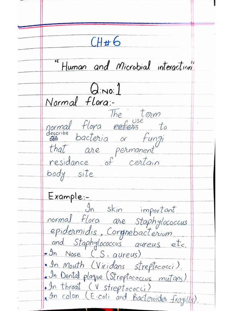 Microbiology (Normal Flora) | PDF