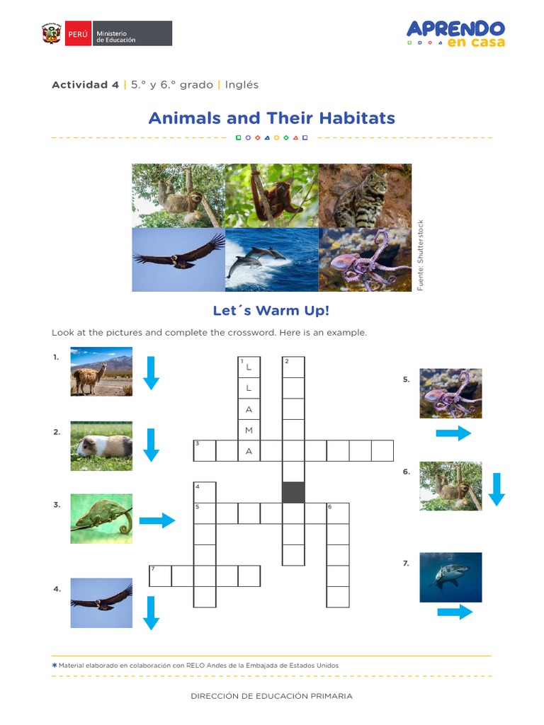 Exp9 Primaria 5y6 Seguimosapren English Act4 | PDF