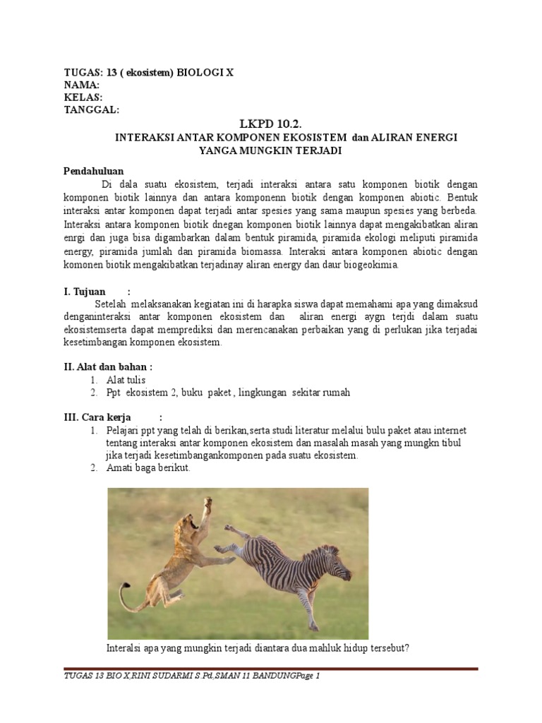 Salinan Dari TUGAS 13 .1 BIO X 2 | PDF