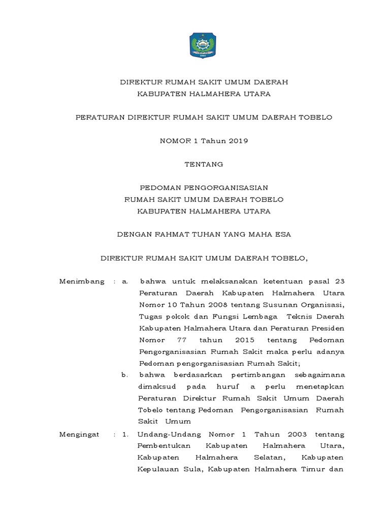 Peraturan Direktur Ttg Pedoman Pengorganisasian Rs (Final) Revisi Okt 2019 | PDF