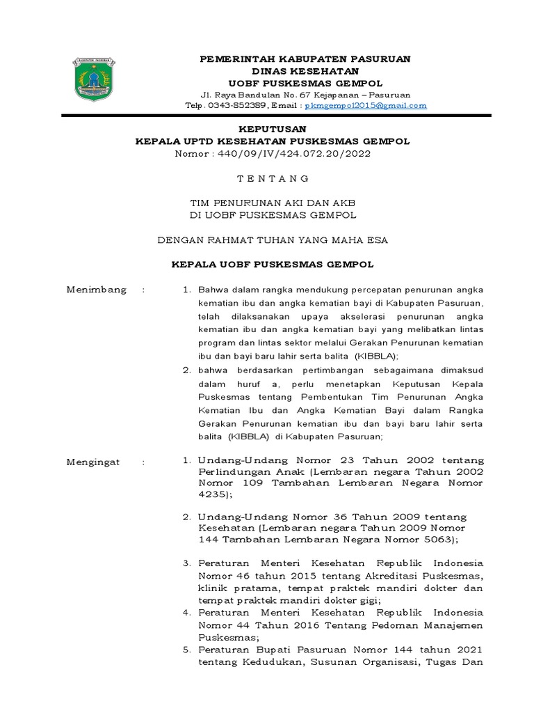 SK Tim Penurunan Aki Akb Puskesmas | PDF