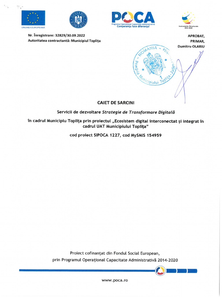 Caiet Sarcini - Strategie de Transformare Digitala - Toplita | PDF