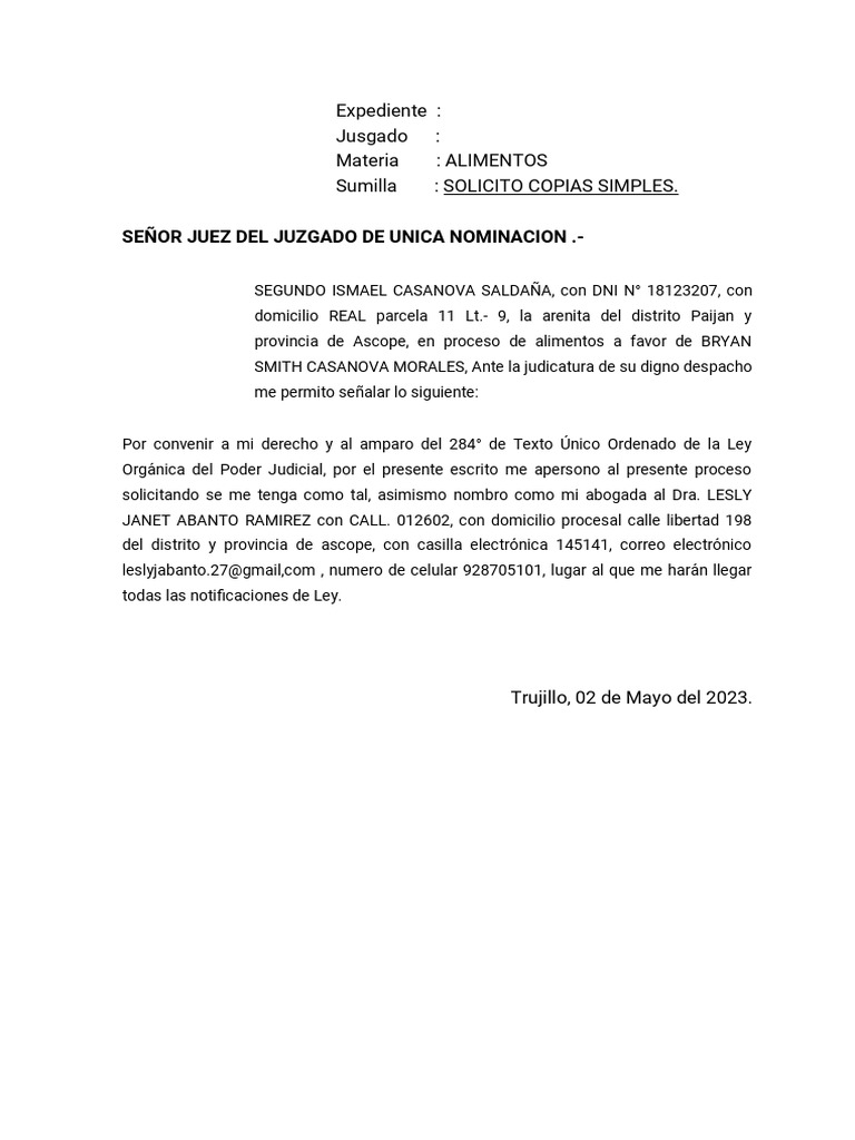 Solicitud de Copias Simples | PDF