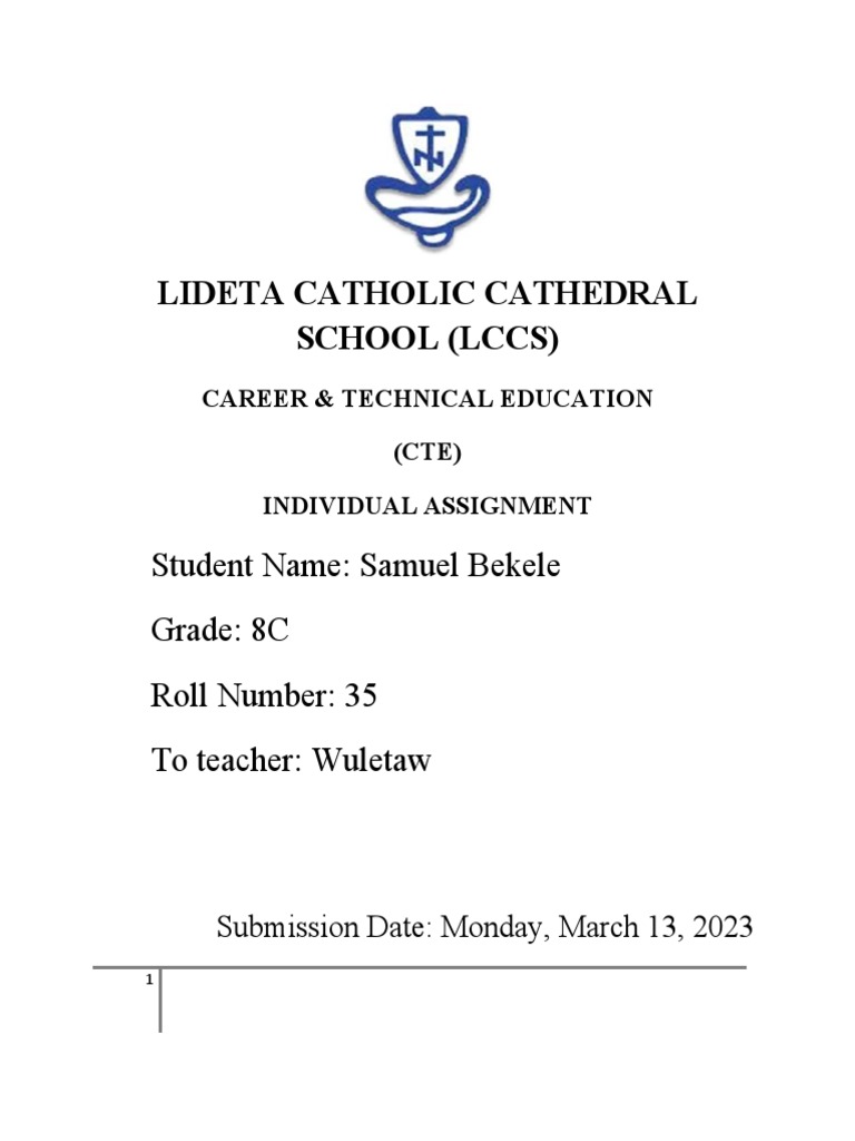 Lideta Catholic Cathedral School (LCCS) : Student Name: Samuel Bekele ...
