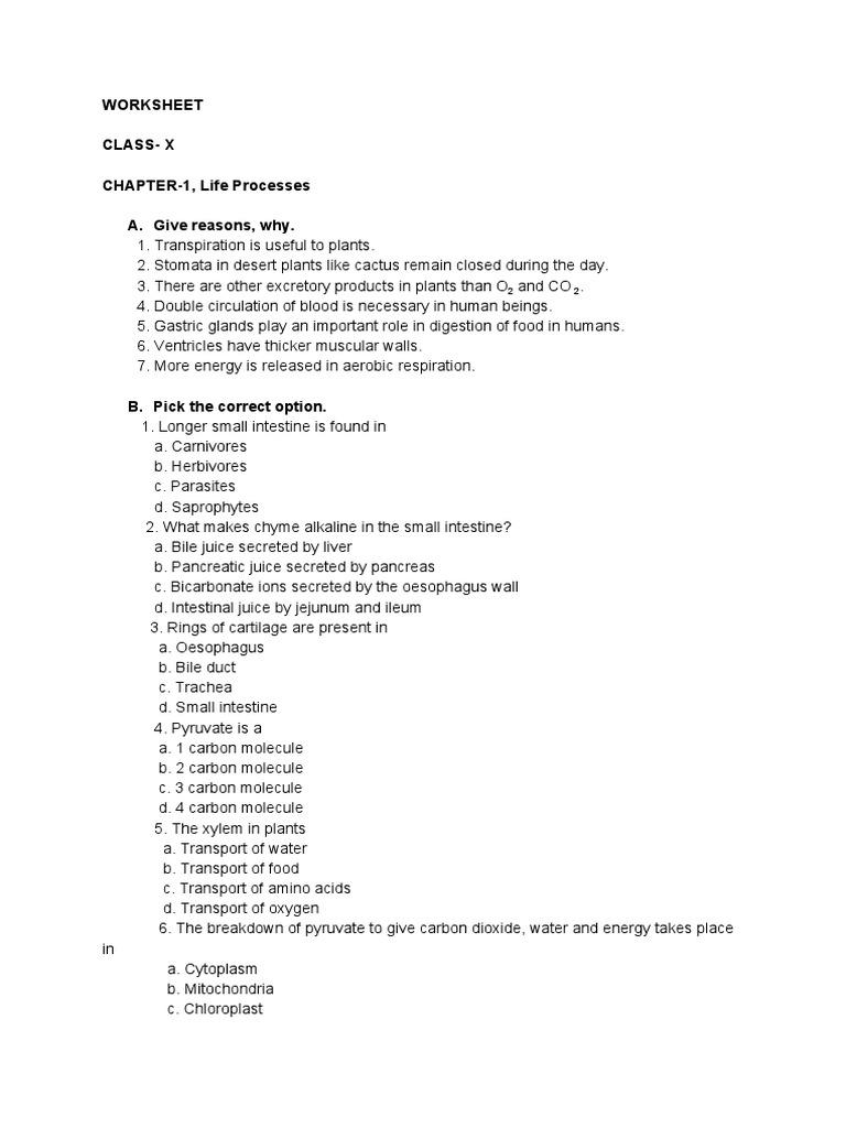 Class 10 Life Processes Worksheet | PDF | Pancreas | Digestion
