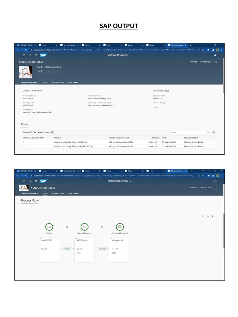 2227327 Erp Sap Output | PDF