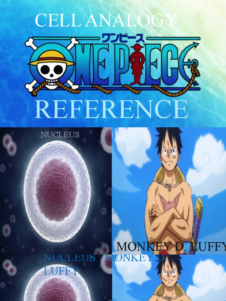 Cell Analogy As One Piece | PDF | Cell (Biology) | Cytoplasm