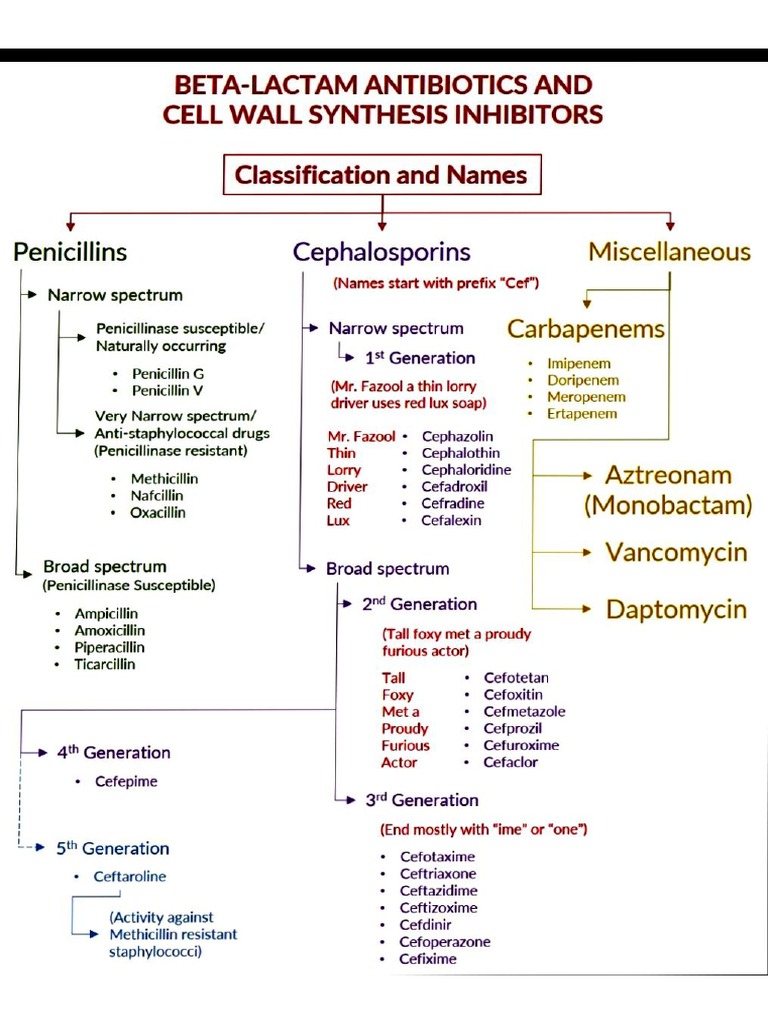 CHEMO Pharma CHARTS | PDF