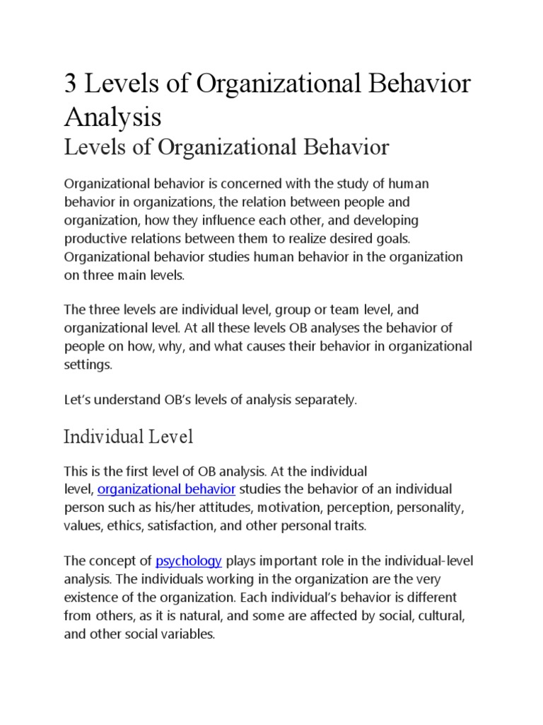 Levels of Organizational Behavior | PDF | Organizational Behavior ...