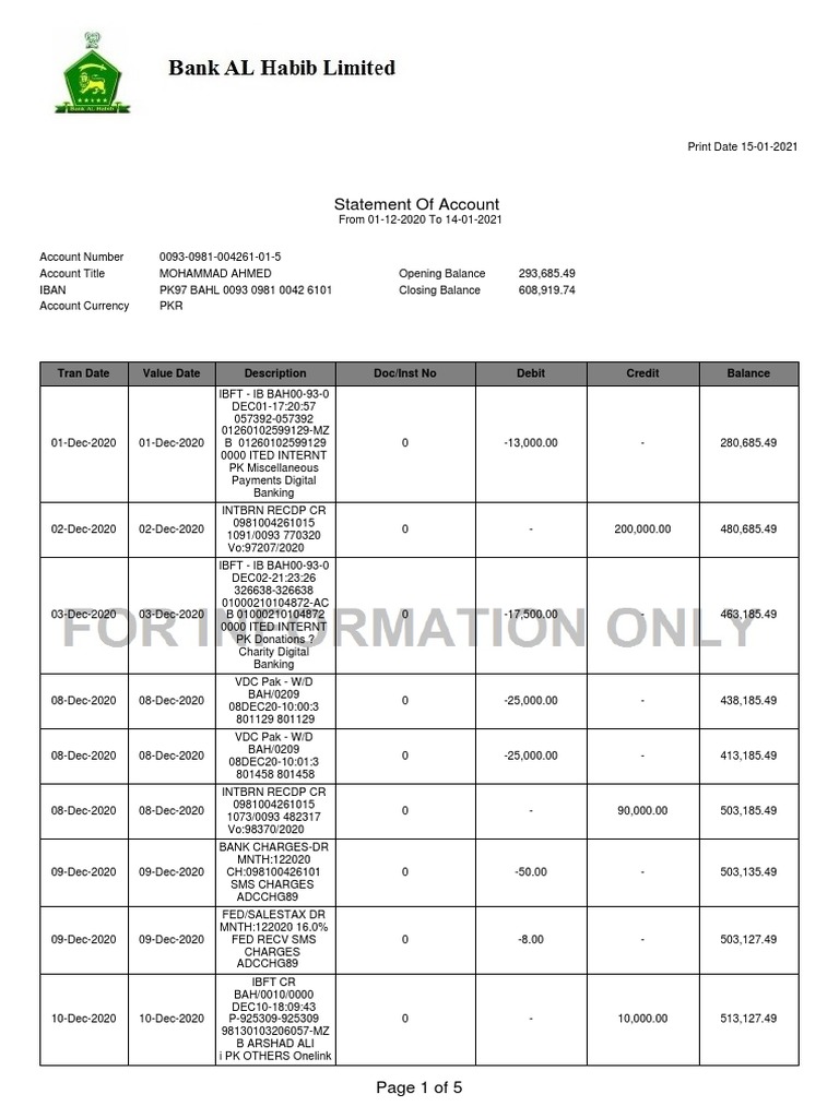 Account Statement | PDF | Debits And Credits | Banking Technology