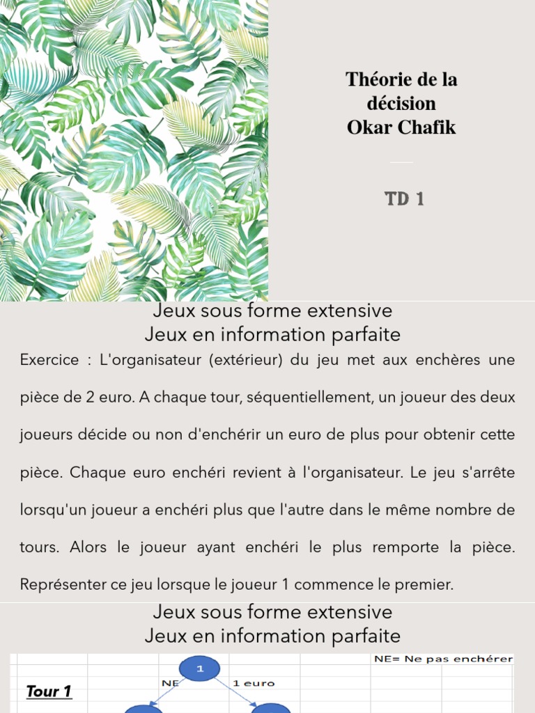 Theorie de Decision Et de Jeux 2023 TD 1 | PDF | Enchère