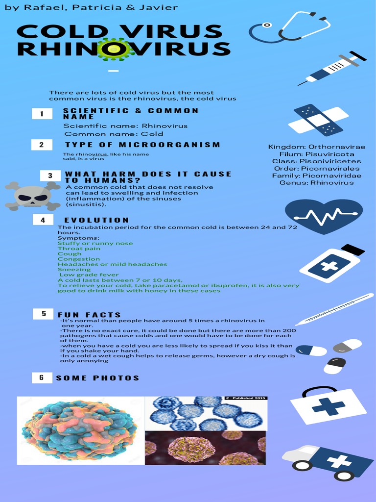 The Rhinovirus | PDF