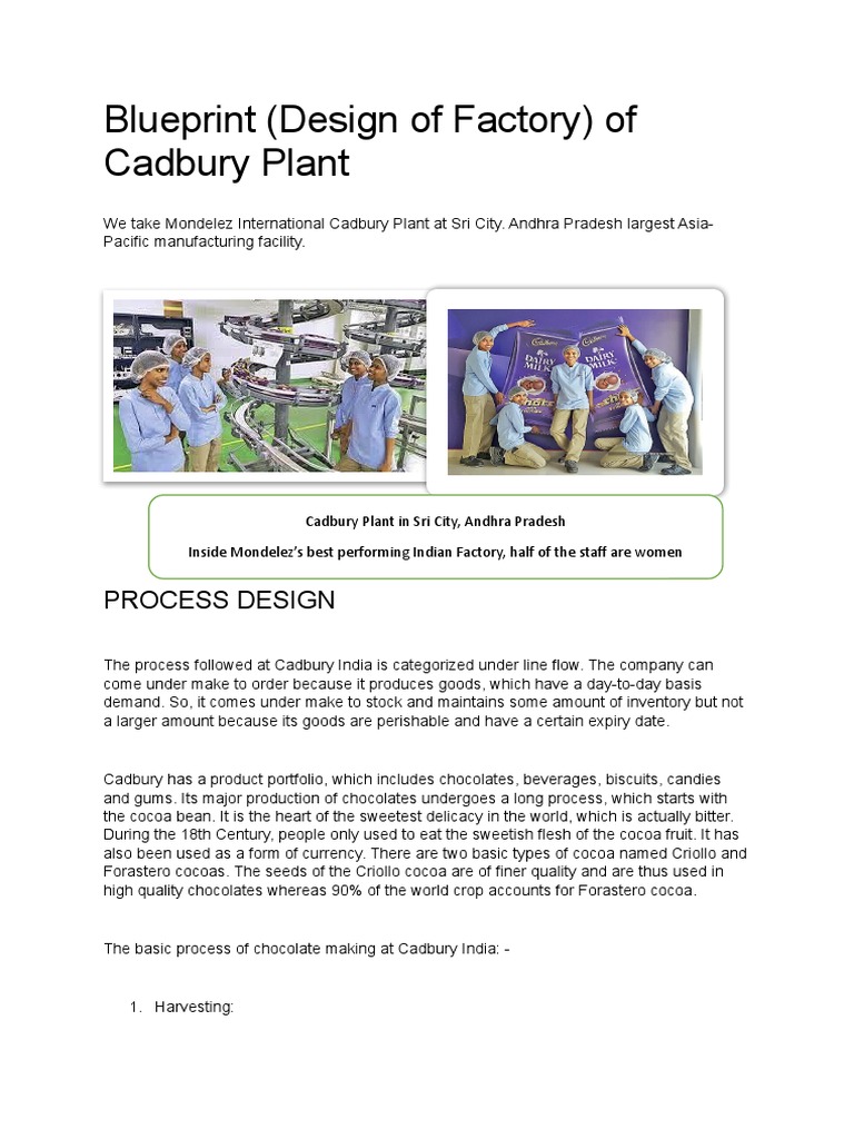 Blueprint | PDF | Chocolate | Cocoa Bean