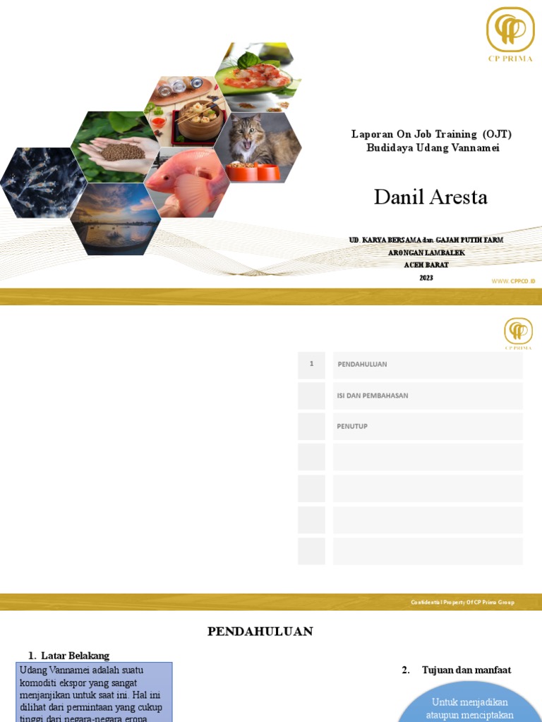 Laporan On Job Training Danil Aresta | PDF