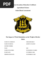 Layout of An Eyewitness Report | PDF