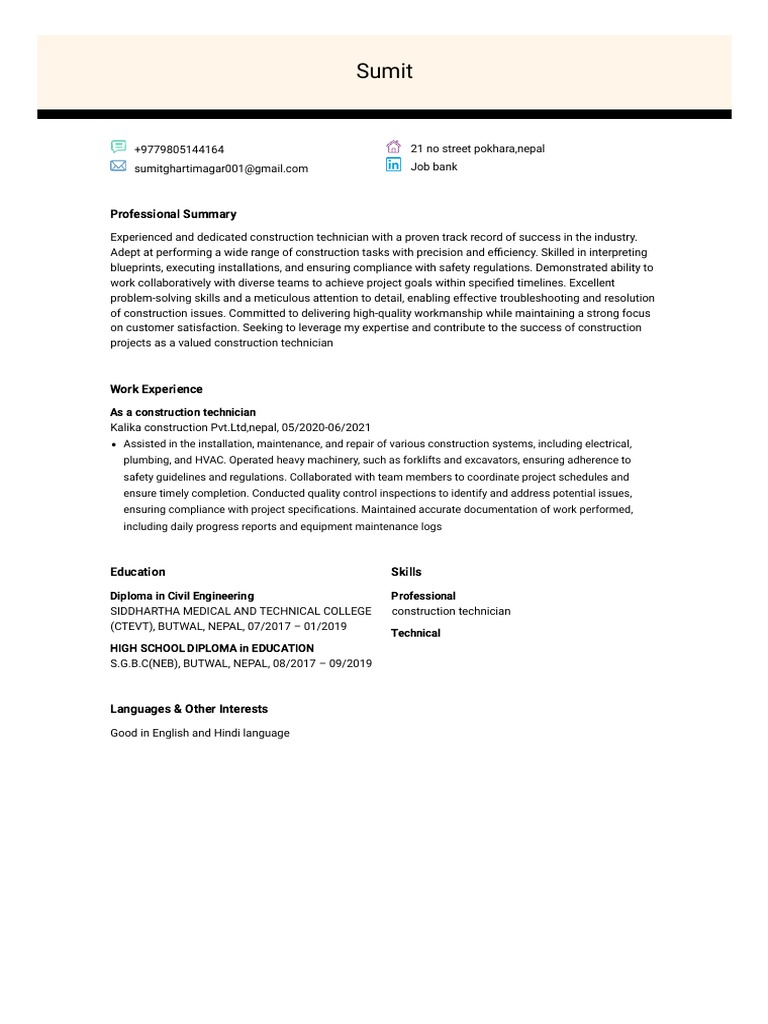 Sumit: Professional Summary | PDF