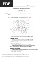 Reproductive System Chapter 16 Key Answer | PDF
