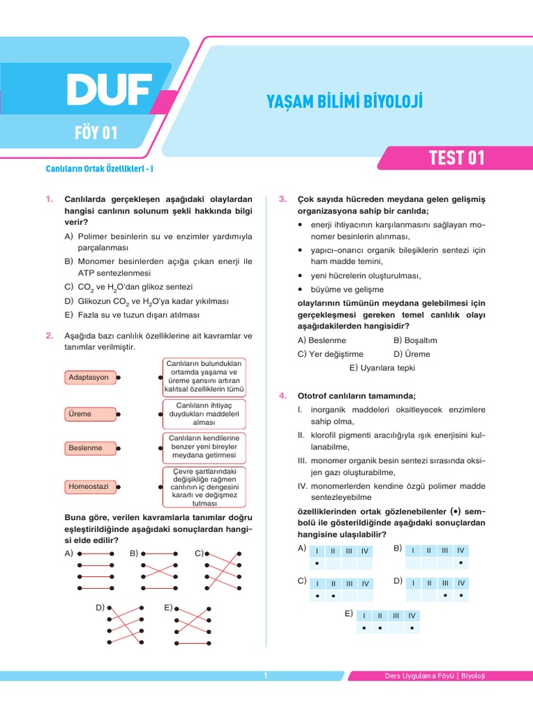 Tyt - Ayt Bi̇yoloji̇ - Duf - Föy 1 - Ornek | PDF