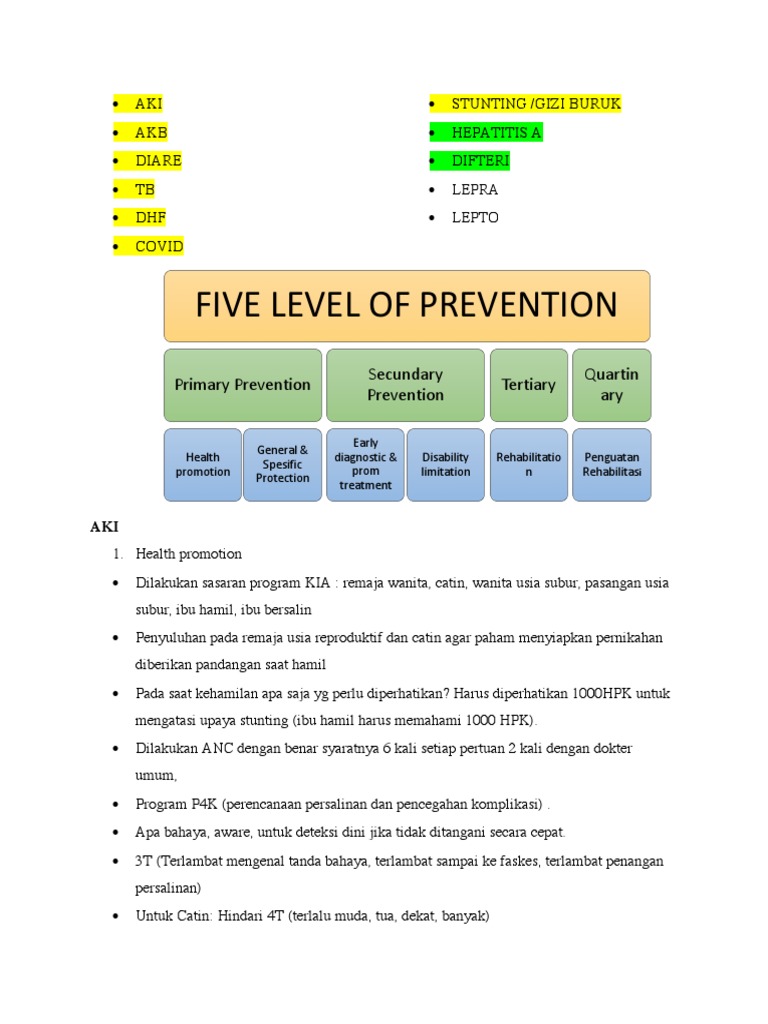 5 Level of Prevention Lengkap | PDF