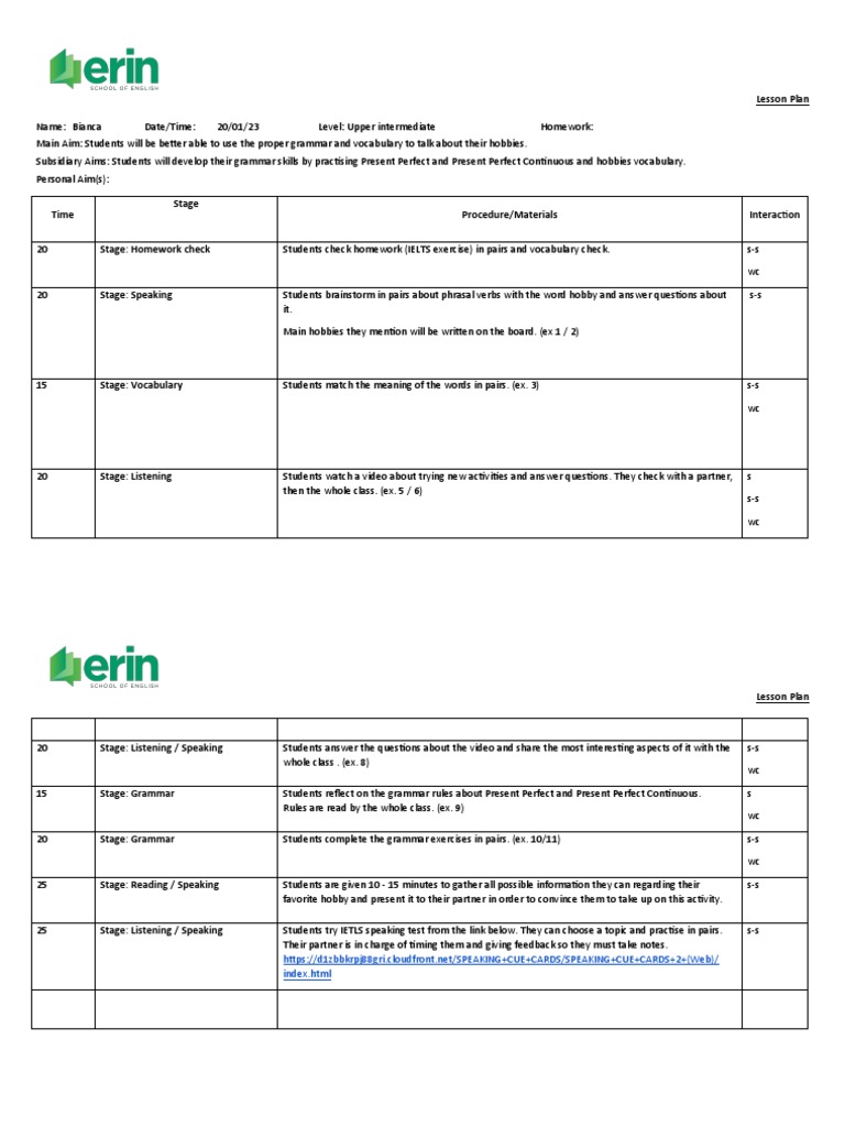 Lesson Plan Bianca BLANK | PDF | Lesson Plan | Vocabulary