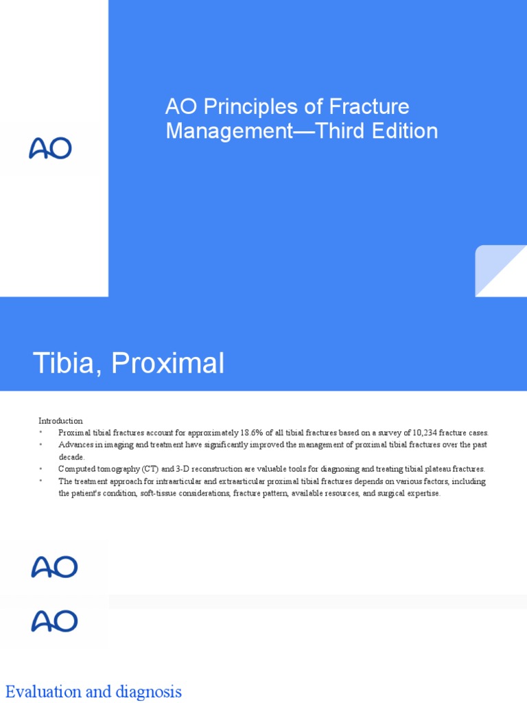 Tibia Proximal | PDF | Knee | Limbs (Anatomy)