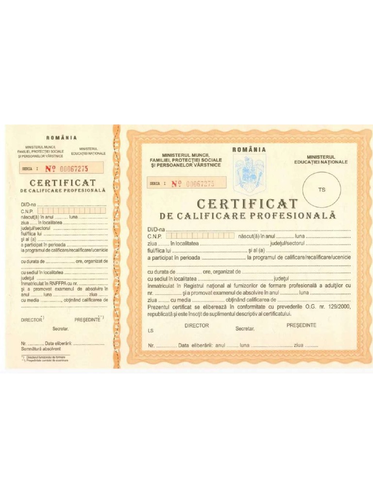diploma-de-calificare | PDF