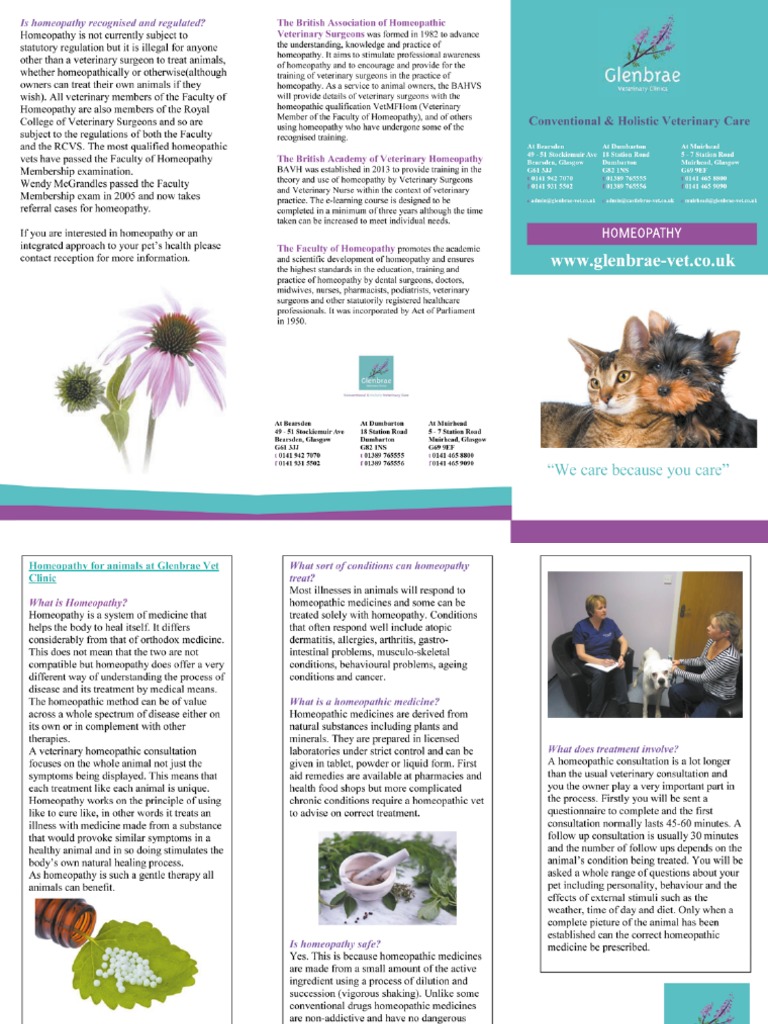 Homeopathy Brochure | PDF
