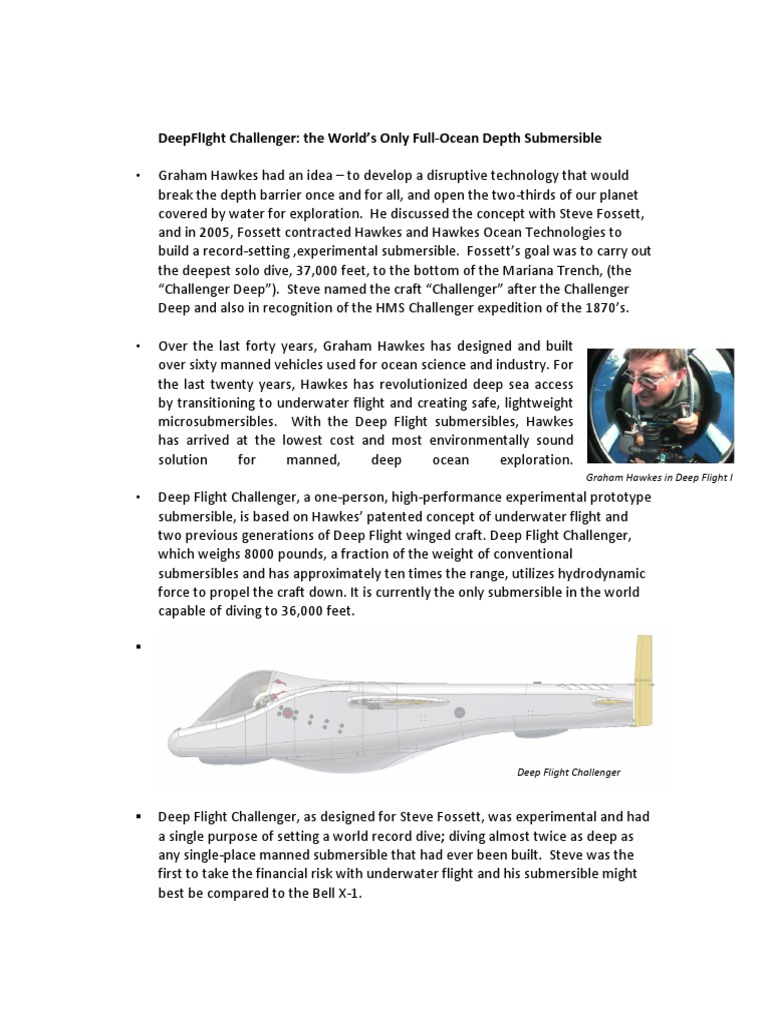 Infosheet1DeepFlIght Challenger | PDF | Social Science | Art