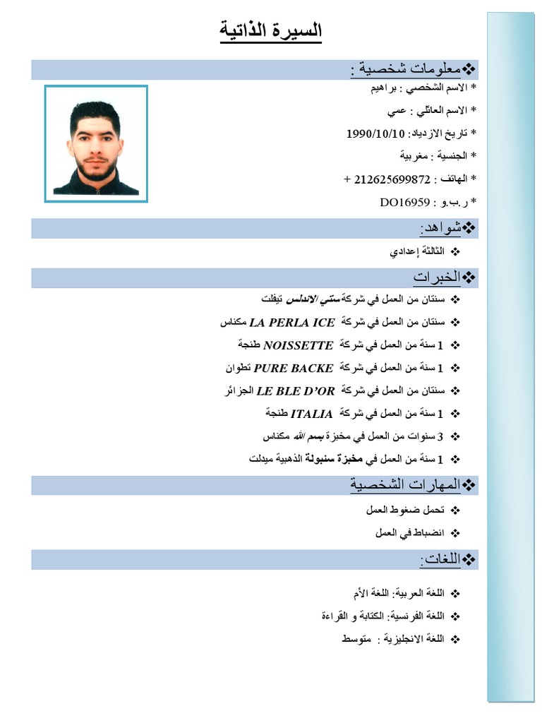 CV Arab | PDF