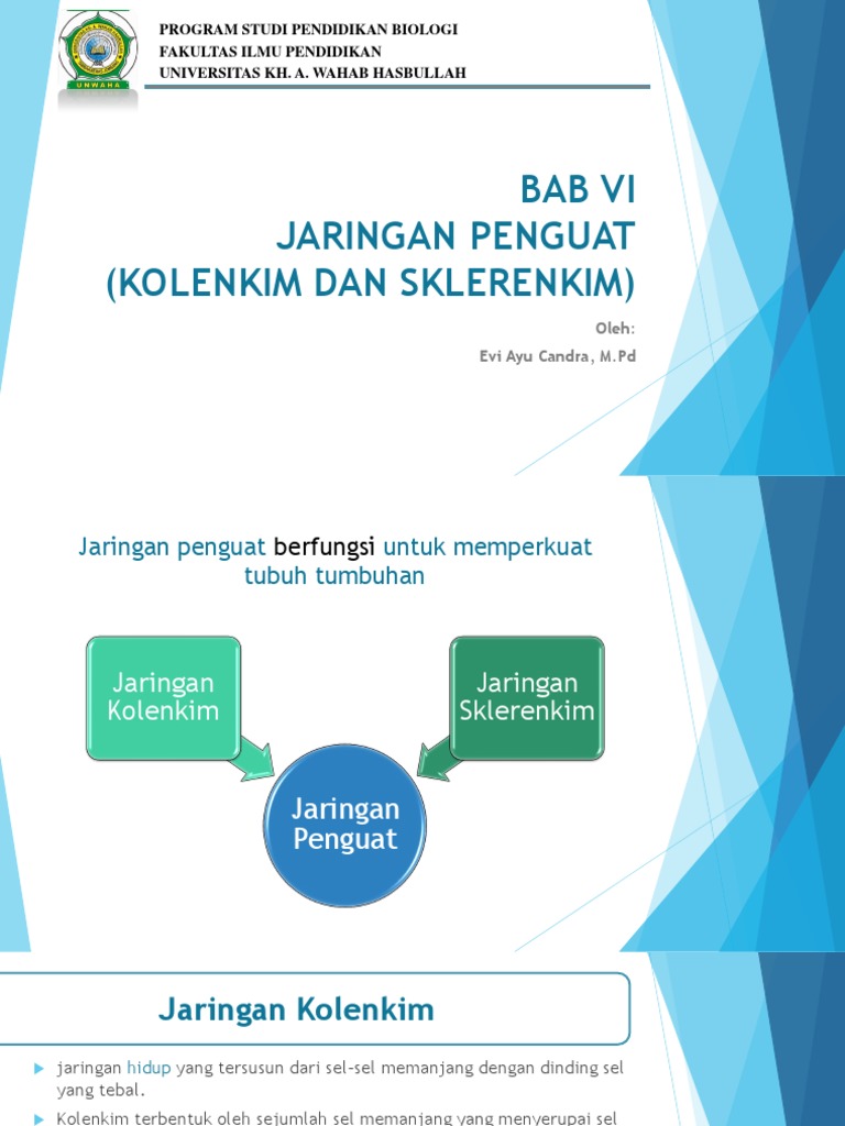 Fungsi dan Struktur Jaringan Kolenkim | PDF | Kesehatan Holistik