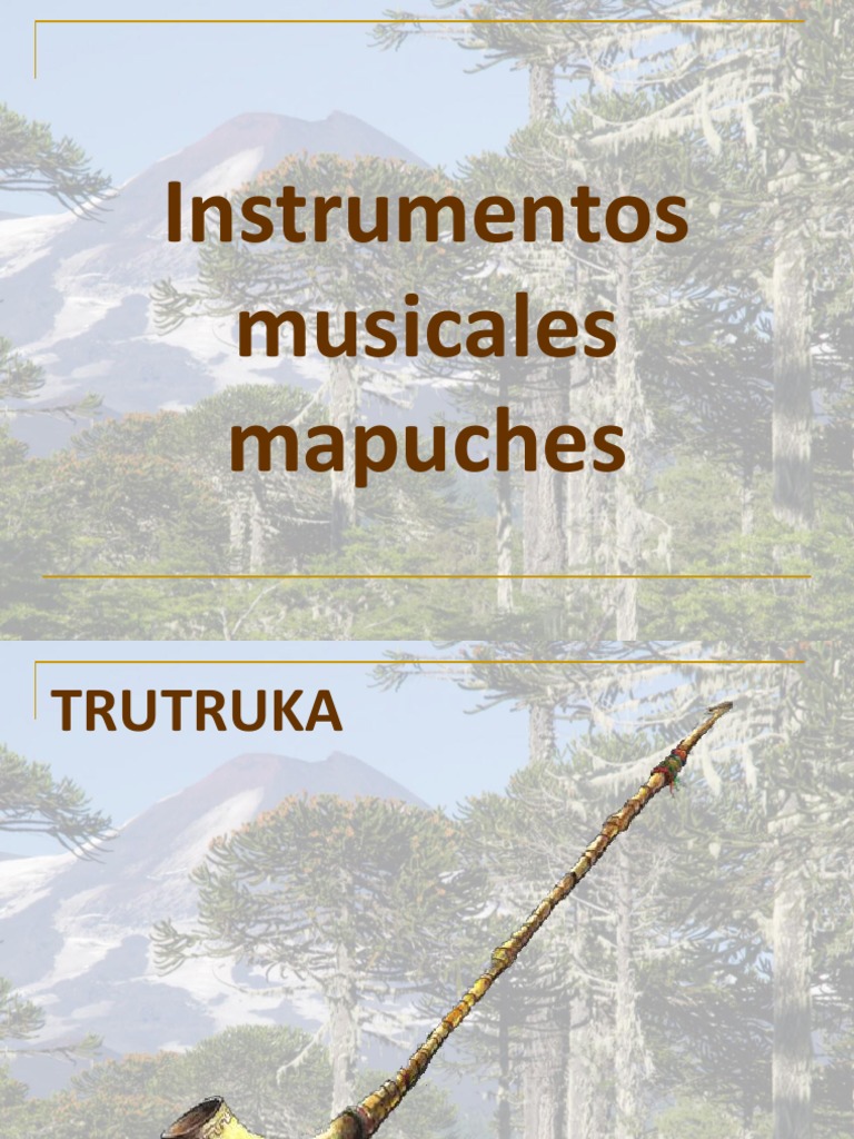 Instrumentos Musicales Mapuches | PDF