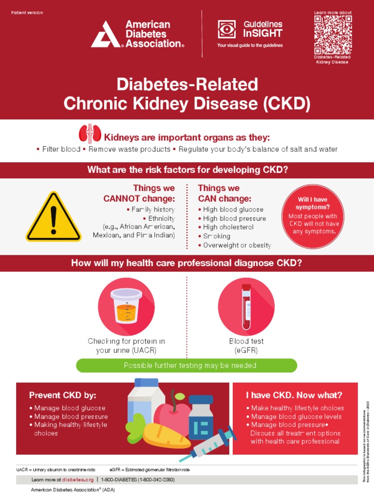 Diabetes Related CKD 2 | PDF | Chronic Kidney Disease | Endocrine System