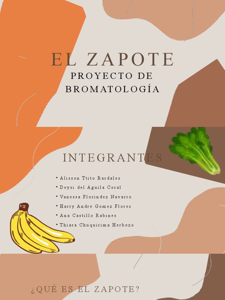 Proyecto Zapote | PDF | Dieta | Alimentos