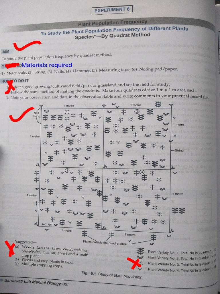 Plant Population Frequency Study by Quadrat | PDF | Mortality Rate ...
