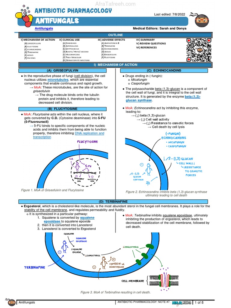 Antifungals (Notes) Atf | PDF | Mycology | Pharmacology