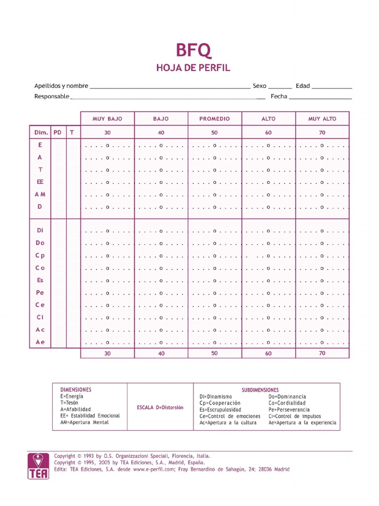 Hoja de Perfil - BFQ | PDF