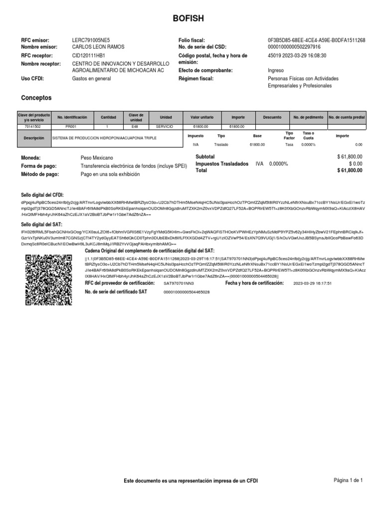 Bofish: Conceptos | PDF | Dinero | Pagos