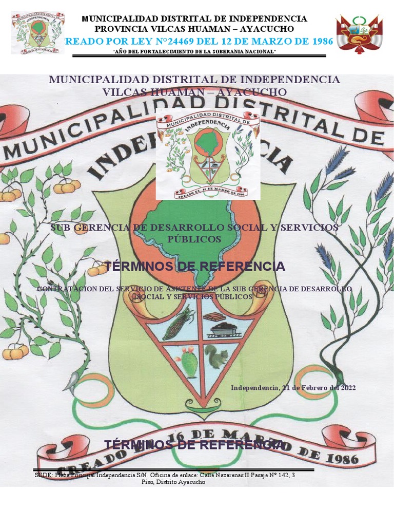 TDR Asistente | PDF | Gobierno